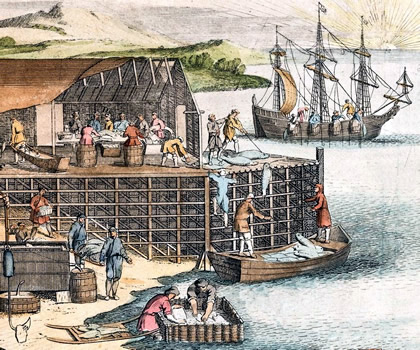 The Pirate Surgeon's Journal: Golden Age of Piracy: Juan Fernandez ...