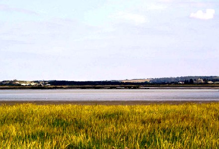 The Pirate Surgeon's Journal: Golden Age of Piracy: Quarantining Ships ...